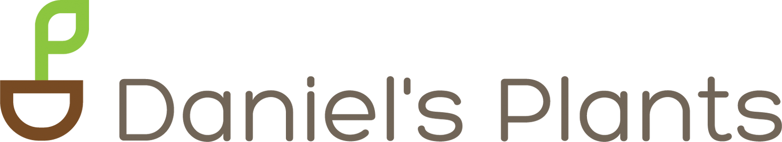 A step-by-step guide to starting basil seeds in Daniel's Plants biodeg