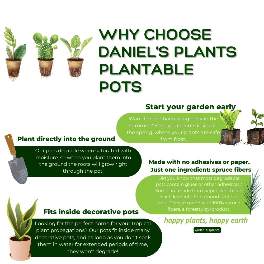 4" Naked Pots - Seedling Pots Made from Natural Spruce Fibers – Daniel ...